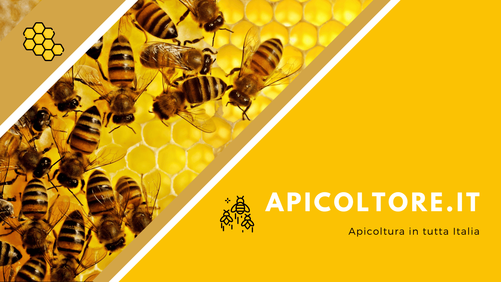 Dove vanno le api in inverno?